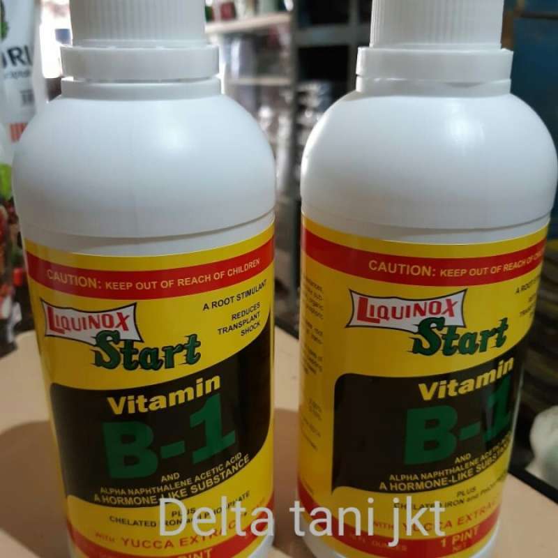 Promo Liquinok Vitamin B1 Hormon Zpt 470 Ml Diskon 9% Di Seller Regans Store - Mekarsari, Kab ...
