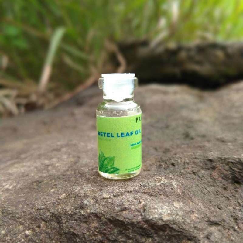 Jual Sampel 2 Ml - Minyak Daun Sirih / Betel Leaf Oil Di Seller Pavettia Essential Oil ...