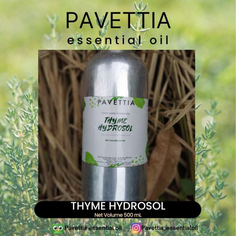 Jual Thyme Hydrosol - Hidrosol Timi 500 Ml Di Seller Pavettia Essential ...