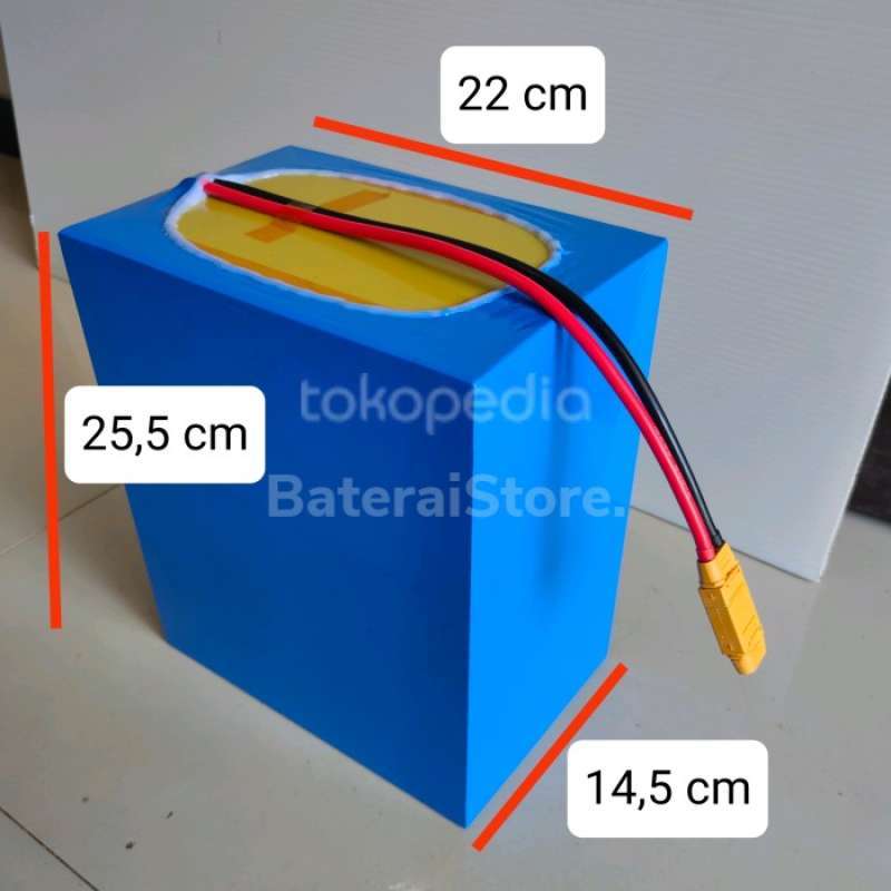 Jual Battery Pack Lifepo V Ah Sudah Bms Di Seller Rumix Cengkareng Timur Kota Jakarta