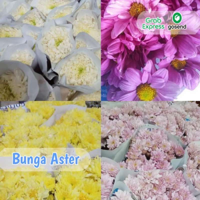Promo Bunga Aster Segar Dan Asli 10 Tangkai Aster Pink Kuning Putih ...
