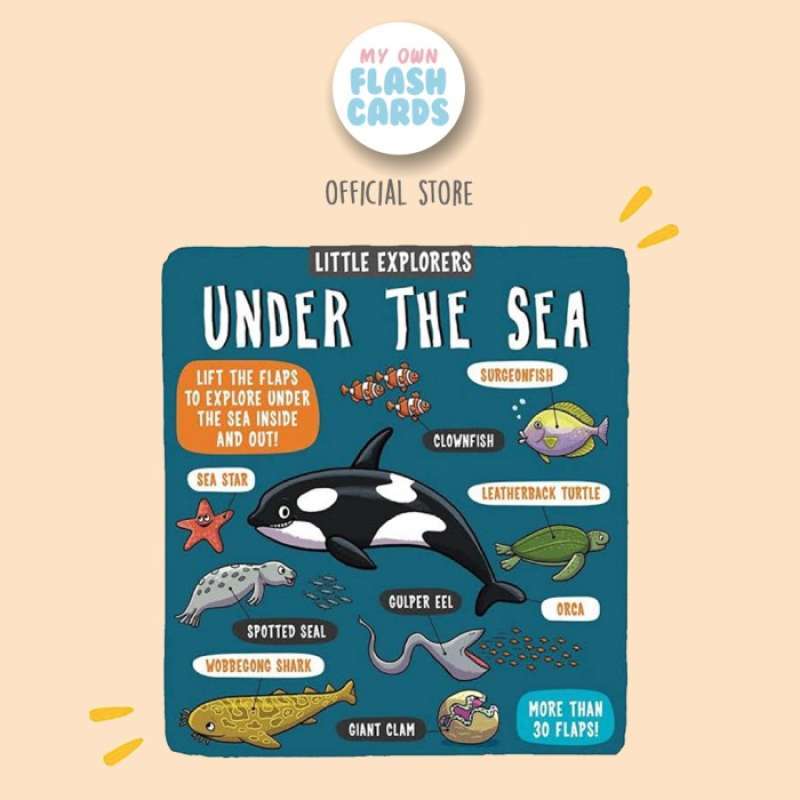 Jual Little Explorers Under The Sea Board Book Lift The Flap Children ...