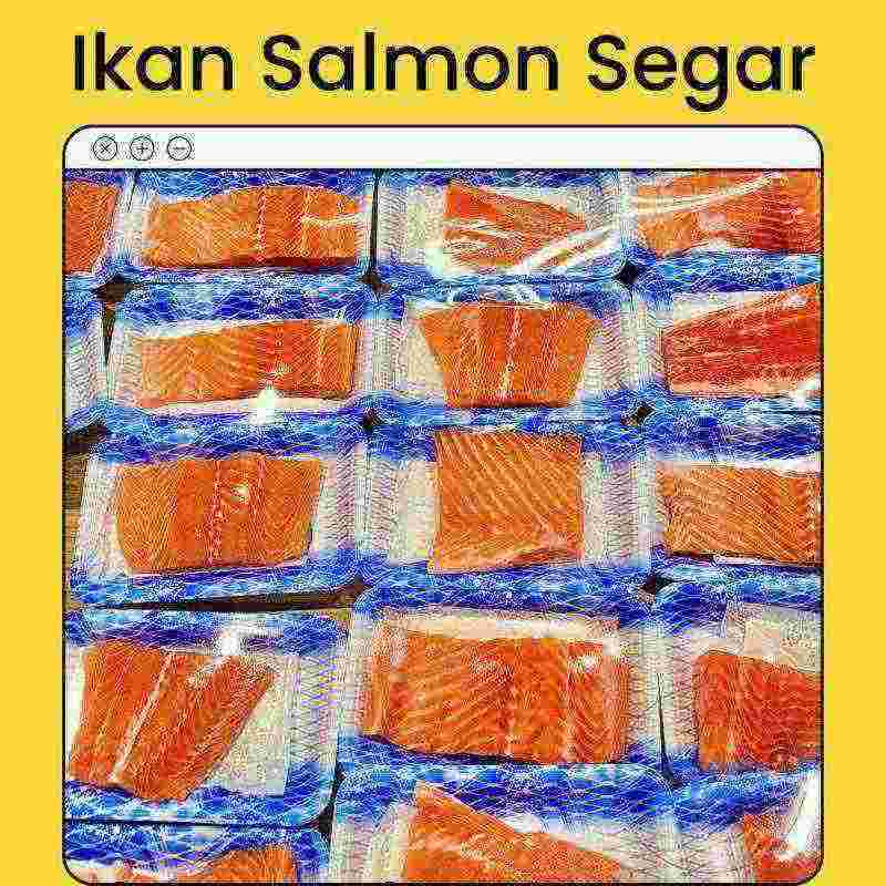 Jual Salmon Fillet Fresh Fish 250 Gram / Salmon Fillet / Ikan Salmon Di ...