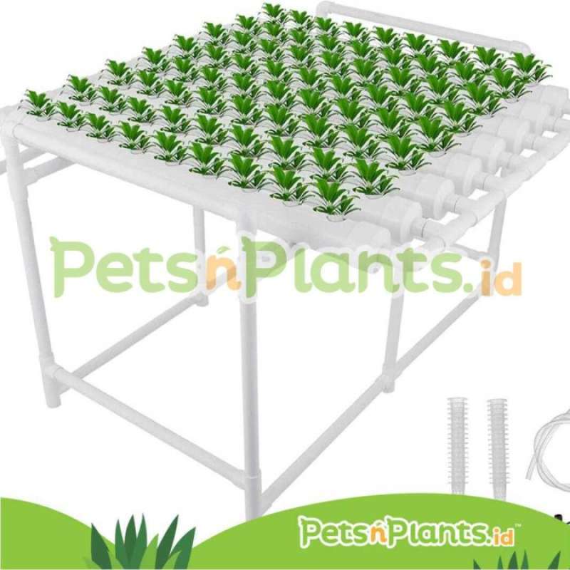 Promo Hydroponic Grow Kit Food Grade Pvc-u Import 2,5 Inch 72 Holes ...