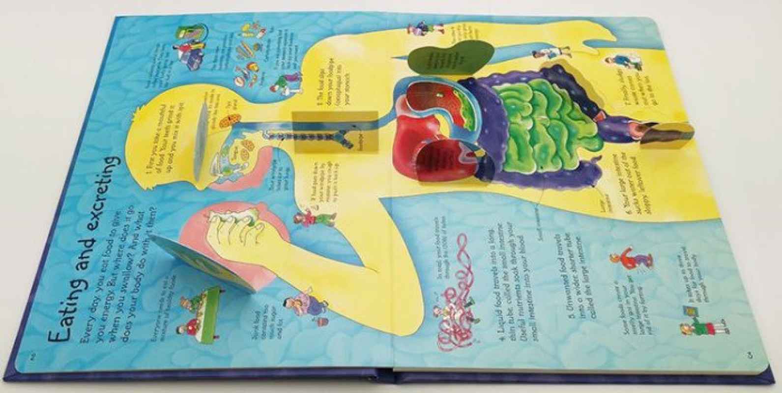 Promo Buku Usborne Book See Inside Your Body Edukasi Tubuh Diskon 23% ...