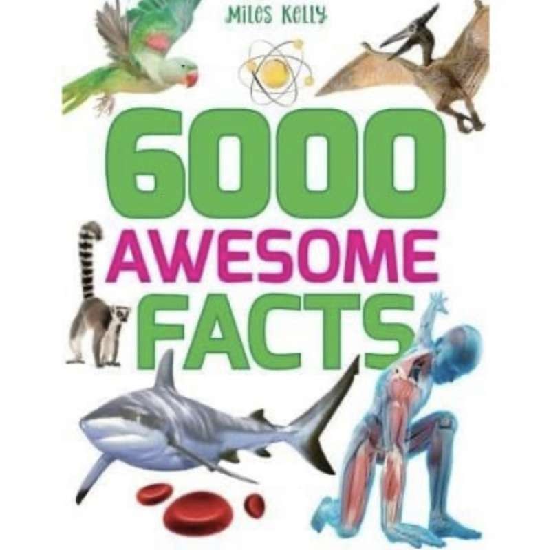 Promo Miles Kelly Encyclopedia 6000 Awesome Facts Buku Ensiklopedia ...