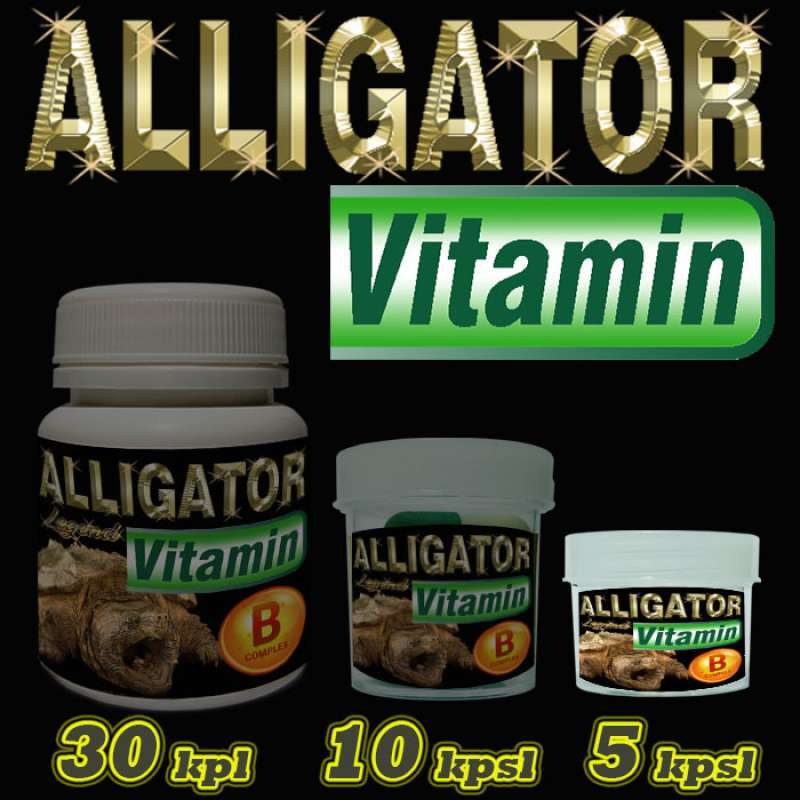 Promo Alligator Vitamin Kapsul Obat Kura-kura Air Aligator Snapping ...