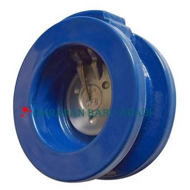 Promo Wafer Check Valve Single Door 2 Inch Cast Iron Diskon 23% Di ...