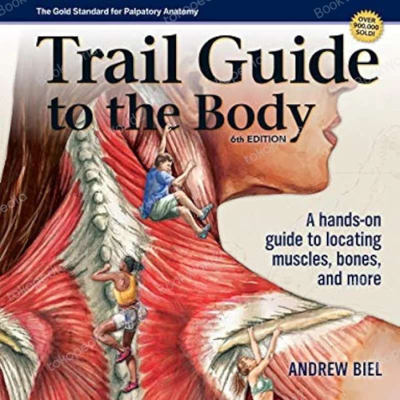 Jual Buku Trail Guide To The Body 6th Edition - Berwarna Di Seller ...