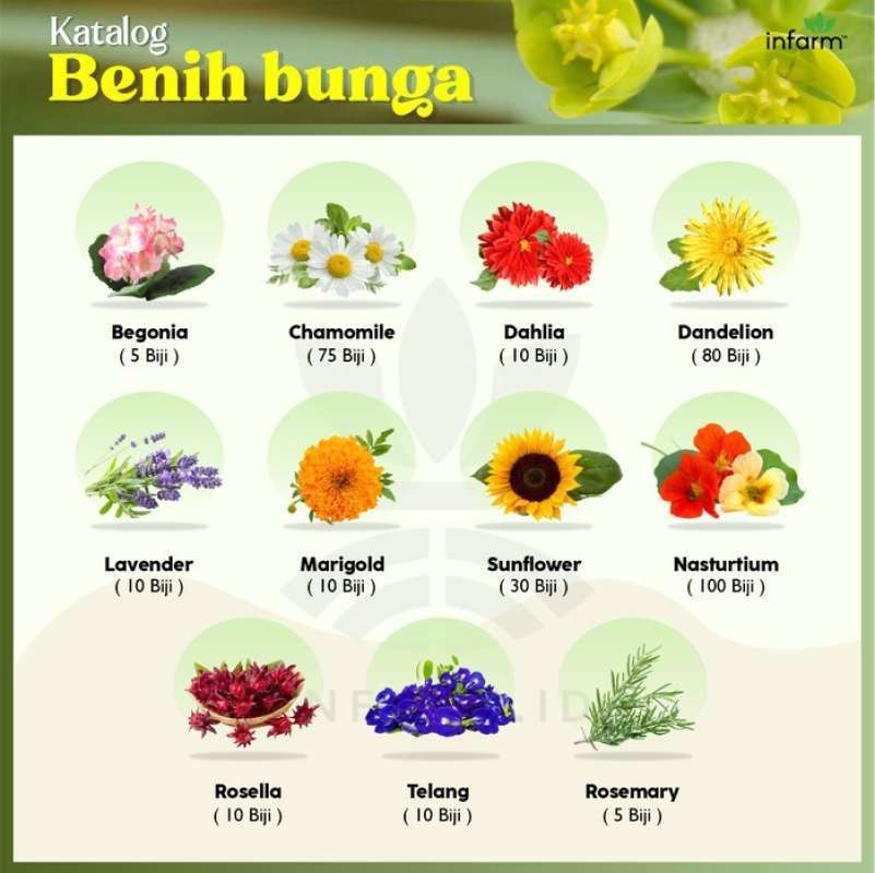 Jual Paket 25 Macam Benih Tanaman Sayuran Buah Dan Bunga Infarm Tipe 1 ...