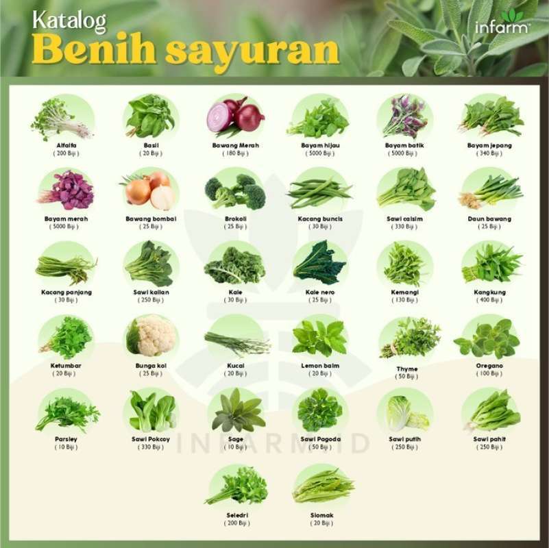 Jual Paket 25 Macam Benih Tanaman Sayuran Buah Dan Bunga Infarm Tipe 1 ...