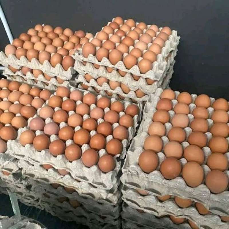 Jual Telur Ayam Negri | 10 Butir Di Seller Pawon Sari - Pawon Sari ...