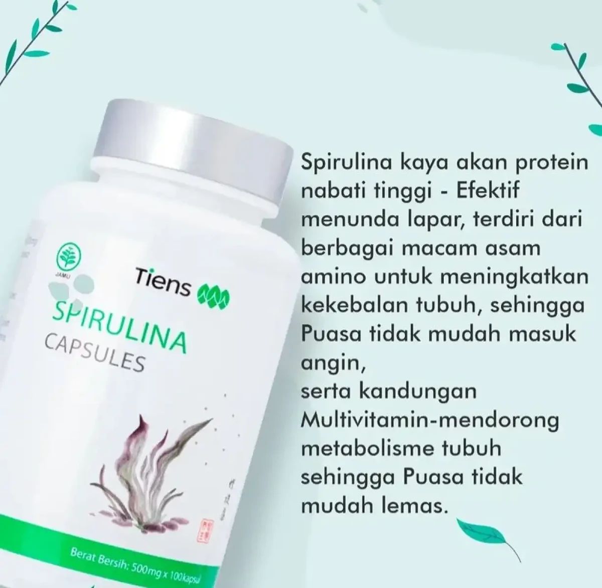 Promo Tiens Spirulina Capsules 100 Capsules – Suplemen Nutrisi Alami ...