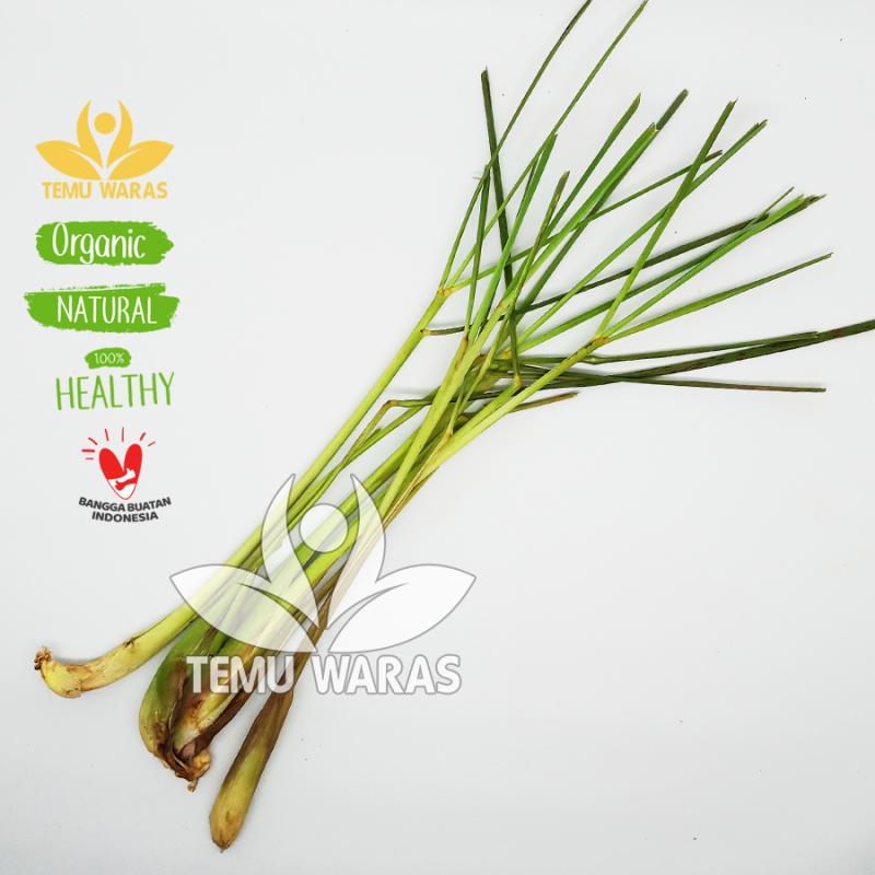 Promo Serai Atau Sereh Segar Organik 1kg - Asli Gunung Diskon 13% Di ...