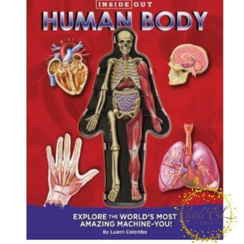Promo Inside Out Human Body By Luann Columbo Diskon 23% Di Seller Indah ...