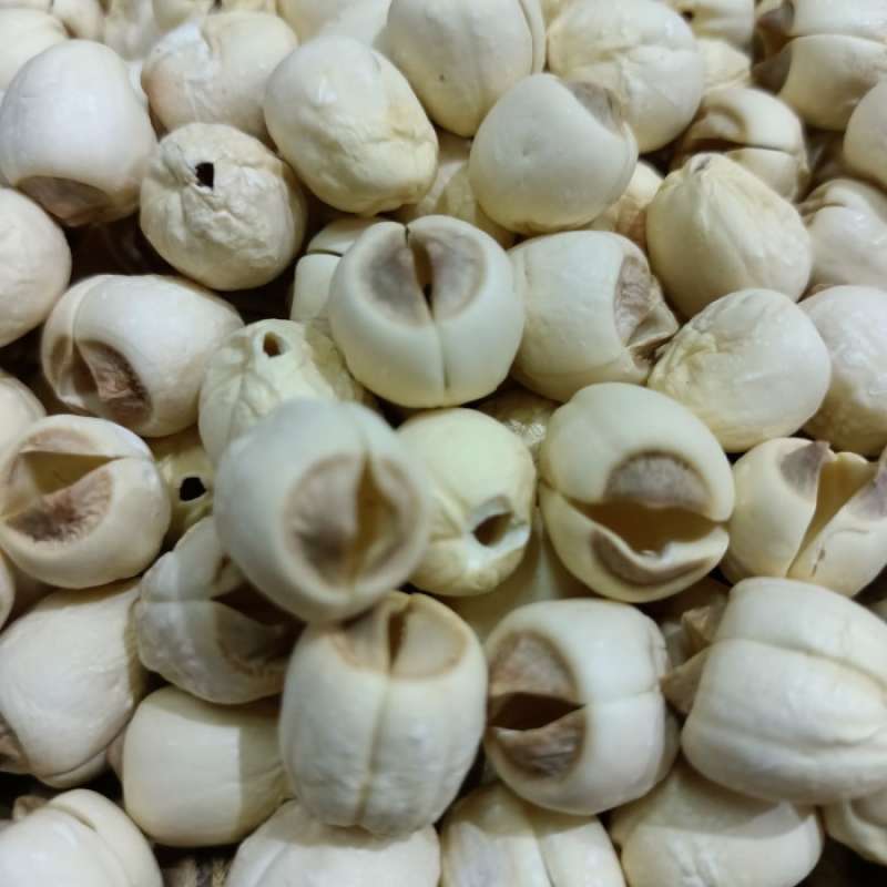 Promo Lian Zi È“®å­ 100gr Dan 200 Gr / Lotus Seeds/ Biji Teratai ...