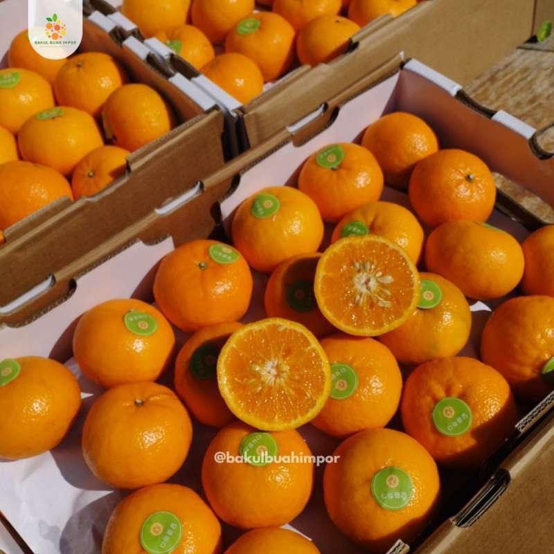 Jual Jeruk Wogan Mandarin Jumbo [ 1kg ] di Seller Bakul Buah Impor ...