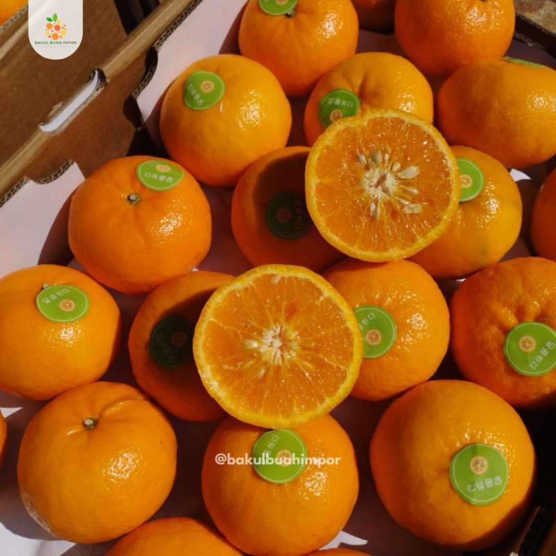 Jual Jeruk Wogan Mandarin Jumbo [ 1kg ] di Seller Bakul Buah Impor ...