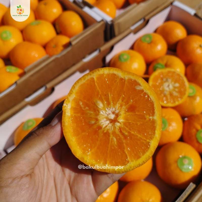 Jual Jeruk Wogan Mandarin Jumbo [ 1kg ] di Seller Bakul Buah Impor ...