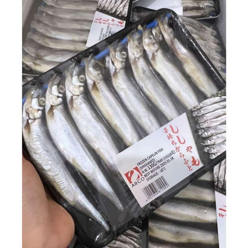 Jual Ikan Shisamo/ikan Cipung/ikan Viral /ikan Jepang/ikan Mpasi/ikan ...