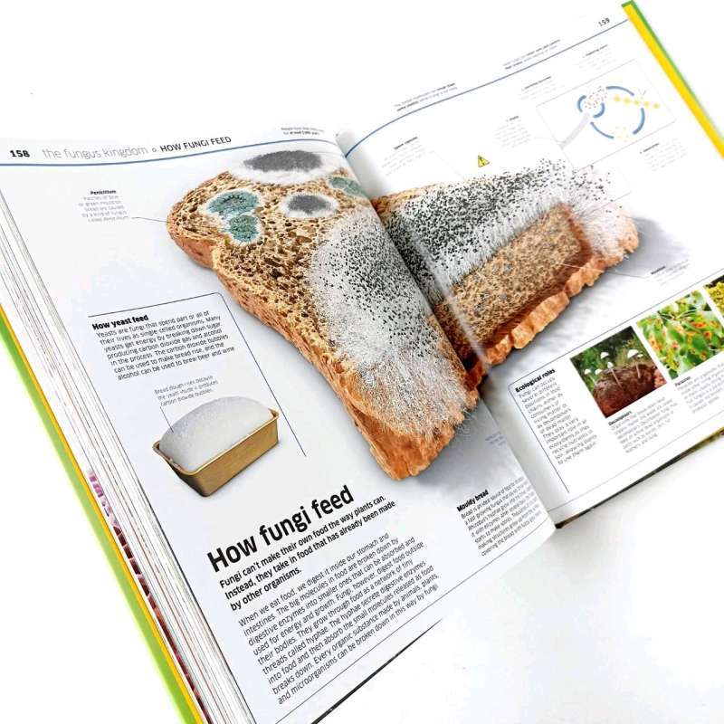 Promo DK Knowledge Encyclopedia Plants and Fungi! Our Growing World as You've Never Seen It ...