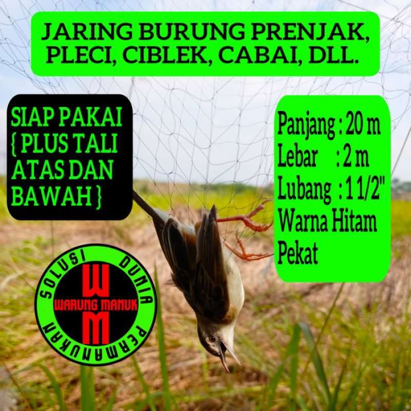 Promo Perangkap burung kecil, jaring burung prenjak pleci ciblek kipas ...