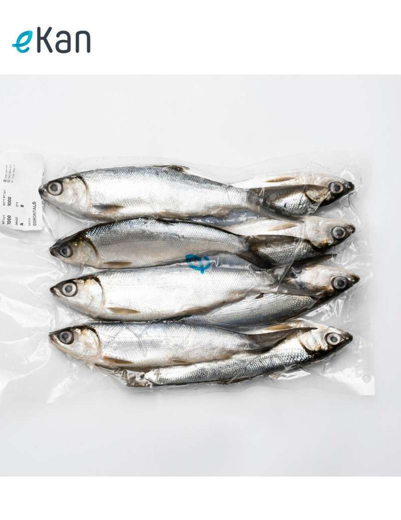 Promo Ikan Bandeng Frozen - 1 Kg Diskon 14% Di Seller Ekan Indonesia ...