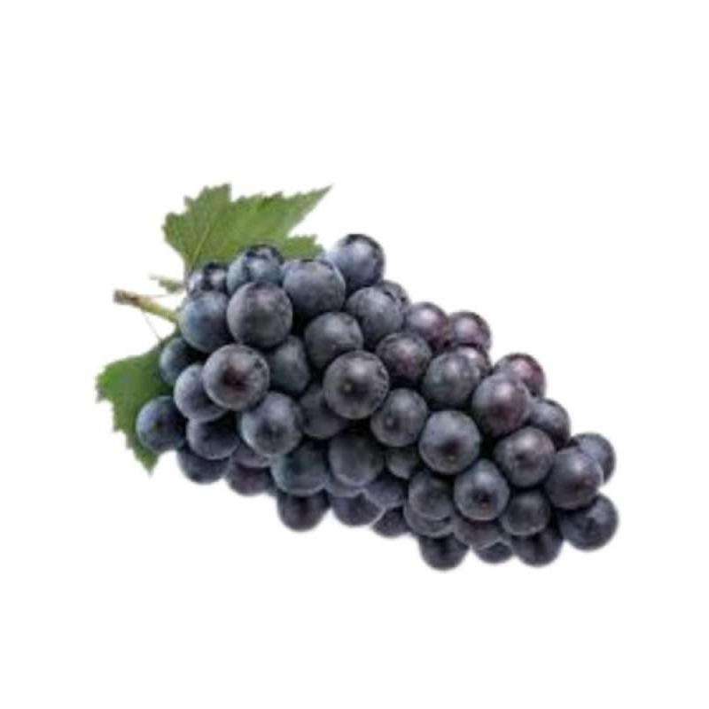 Jual Anggur Adora Seedless Di Seller Farmers Market Pik 2 Official ...