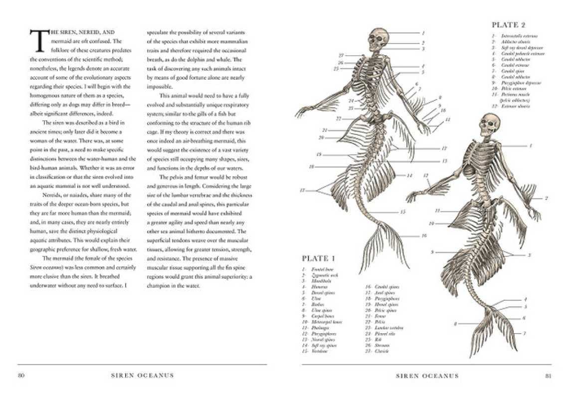Promo Anatomy Of Mythical Creature Reference Book - The Ressurectionist ...