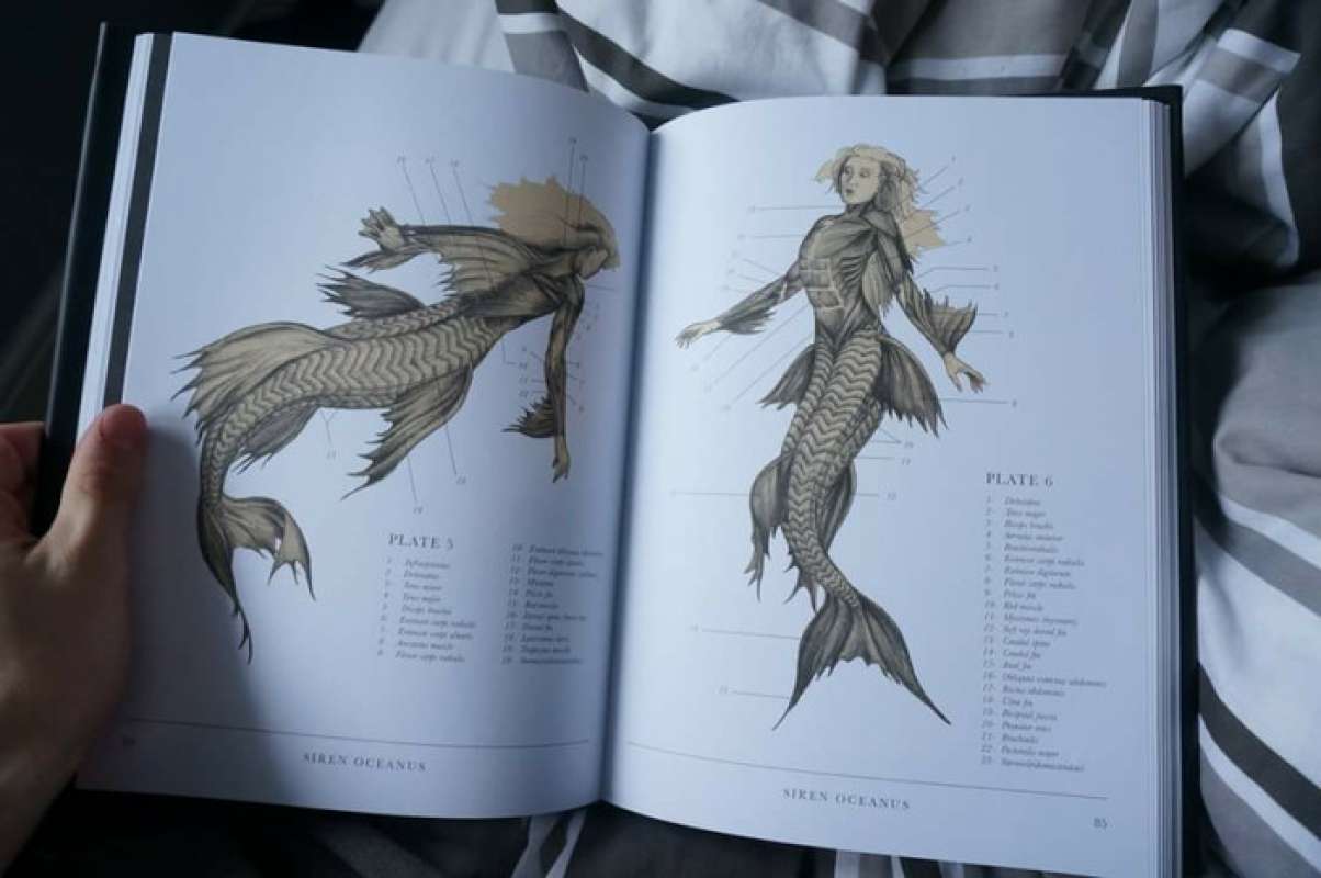 Promo Anatomy Of Mythical Creature Reference Book - The Ressurectionist ...