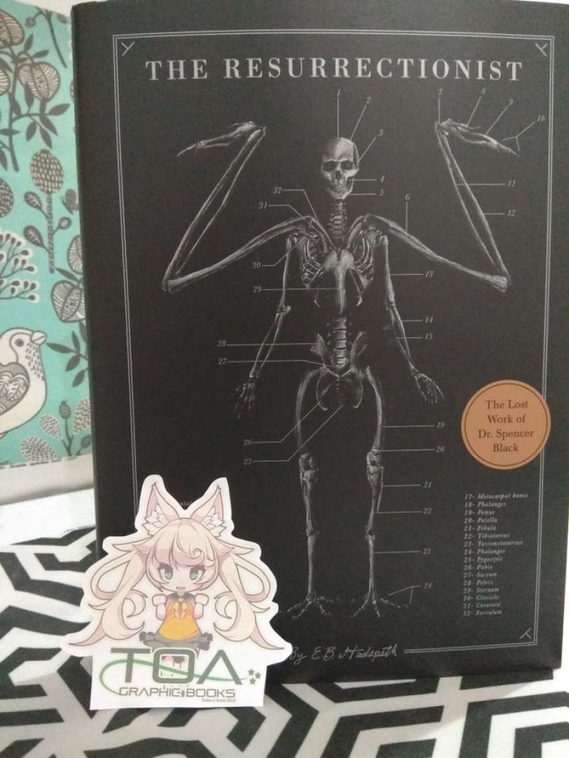 Promo Anatomy Of Mythical Creature Reference Book - The Ressurectionist ...