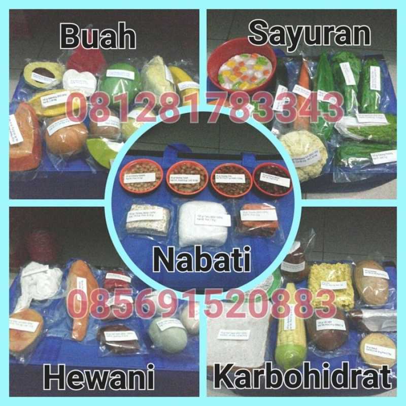 Jual Food Model - Model Makanan Penyuluhan Gizi 50 Item Tas Di Seller ...