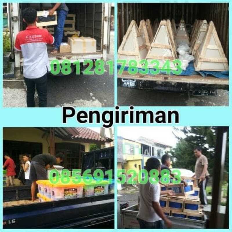 Jual Food Model - Model Makanan Penyuluhan Gizi 50 Item Tas Di Seller ...