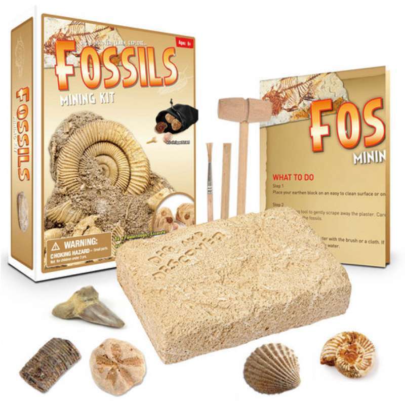Promo Mainan Arkeolog Digging Toys Fossils Mining Kit Fosil Harta Karun ...