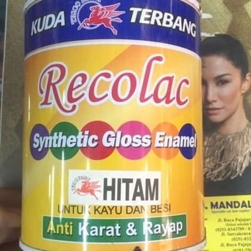 Jual Cat Kayu/besi Recolac Kuda Terbang Di Seller Regstore - Cengkareng ...