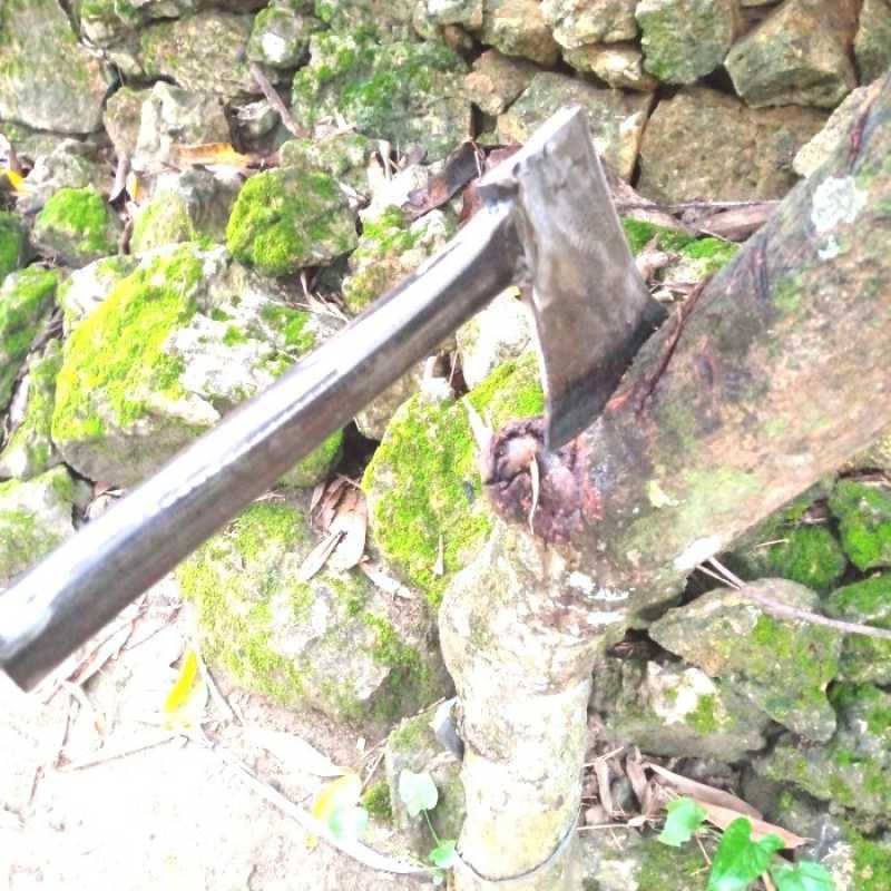 Jual Kapak Tajam Dan Kuat Gagang Besi Potong Kayu Kampak Cacah Daging ...