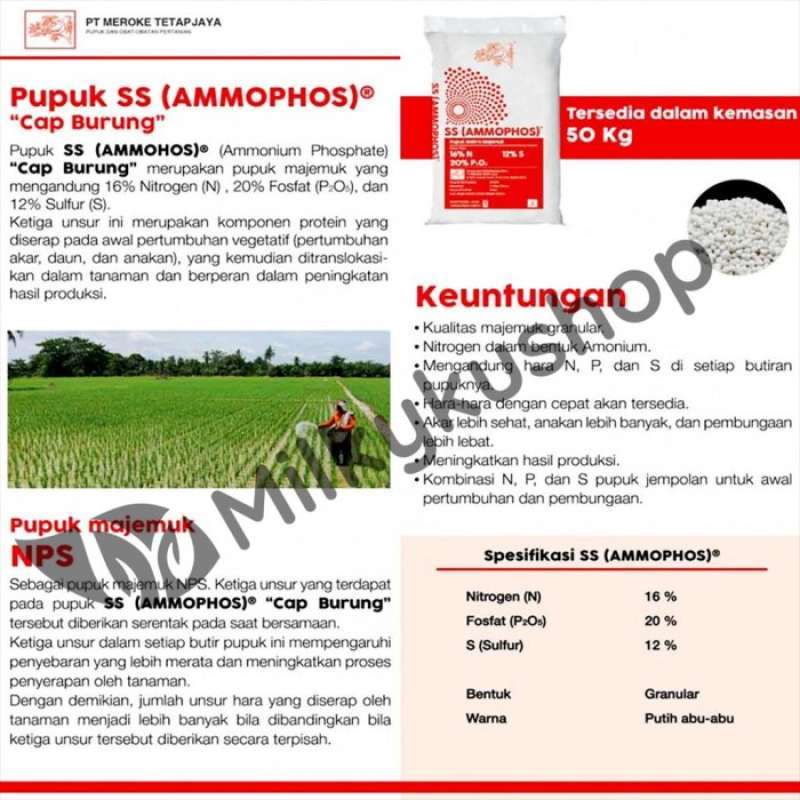 Promo Pupuk Meroke Ss Ammophos 50 Kg Kemasan Pabrik Gosend Grab Diskon ...