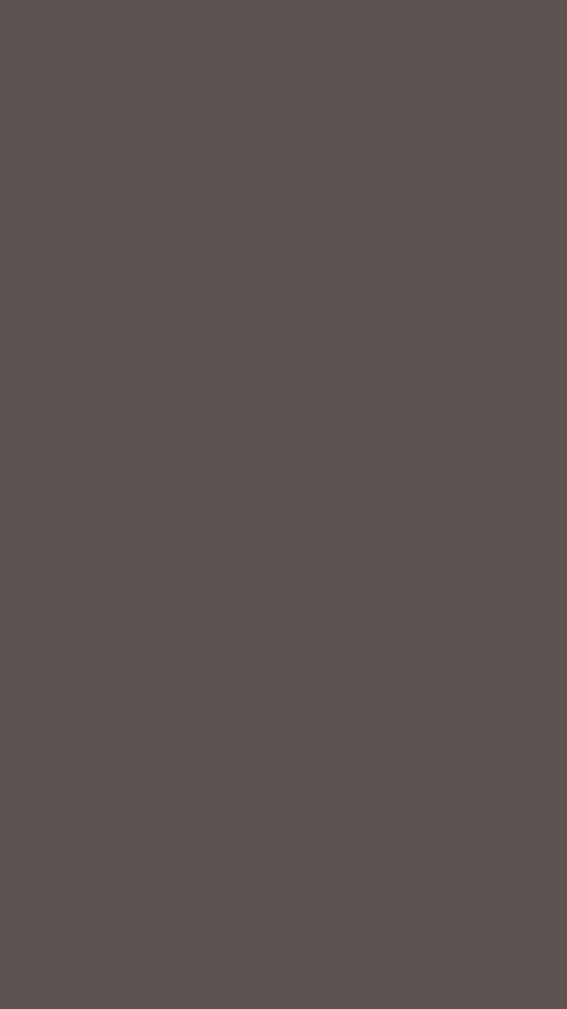 Promo Taco Laminate Hpl Solid Gloss - Th 055 D Gentleman Grey Diskon 7% ...