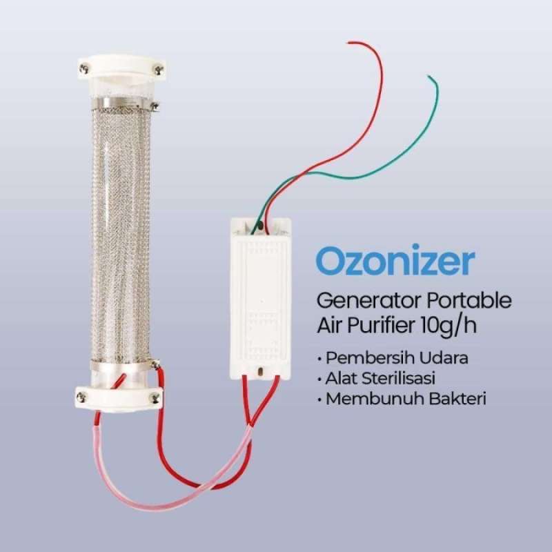Promo Ozonizer Diy Ozone Generator Portable Air Purifier 10g/h Diskon ...