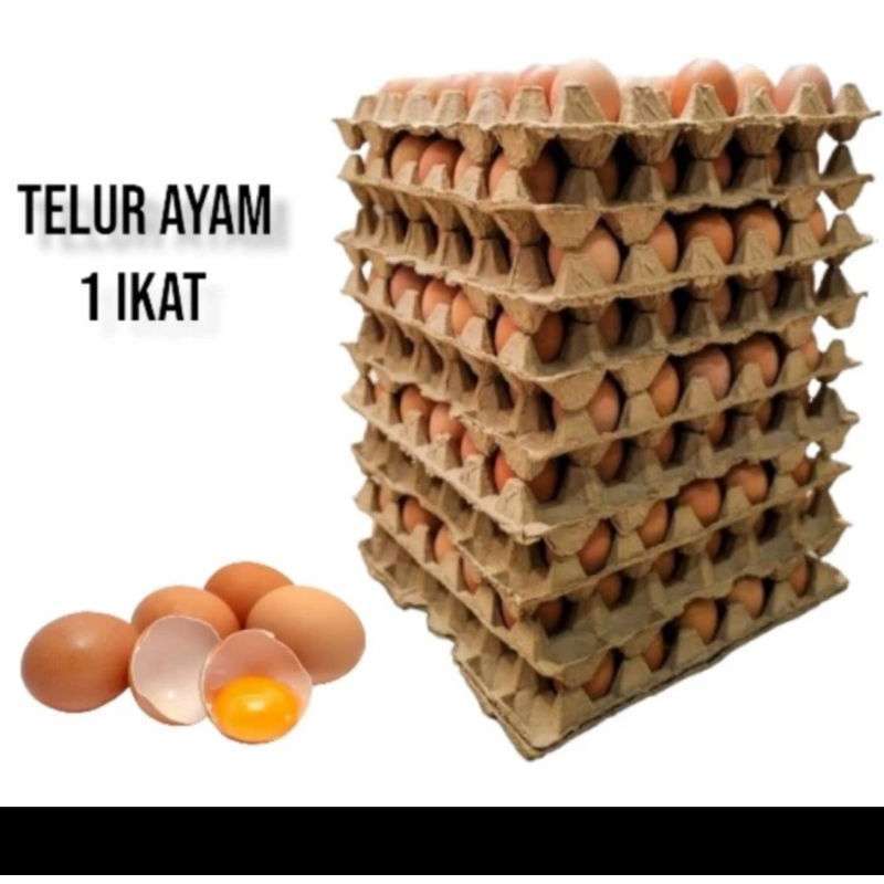 Jual Telur Ayam 20 Kg Cong (1 Ikat Isi 10 Papan) Di Seller Cendana Jaya ...