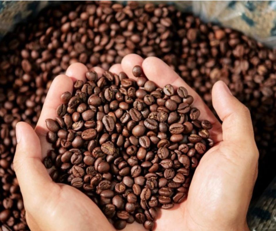 Jual Kopi Sore – Arabika Gayo Aceh Premium 250g - Aroma Smooth ...