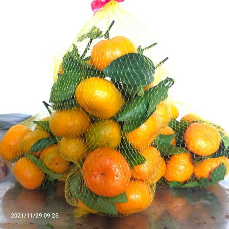 Jual Buah Jeruk Santang - 1000g Di Seller Ibaza Fruitsbox - Tlogosari ...
