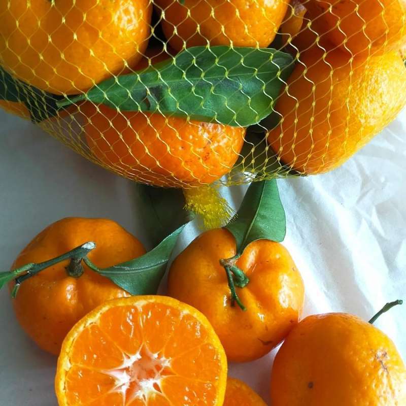 Jual Buah Jeruk Santang - 1000g Di Seller Ibaza Fruitsbox - Tlogosari ...