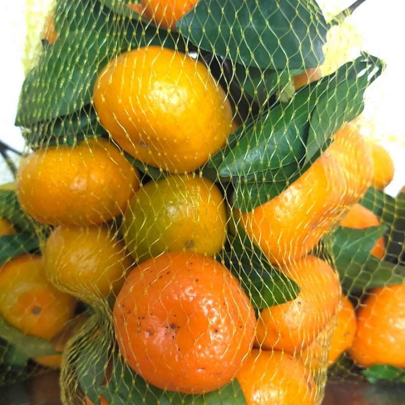 Jual Buah Jeruk Santang - 1000g Di Seller Ibaza Fruitsbox - Tlogosari ...