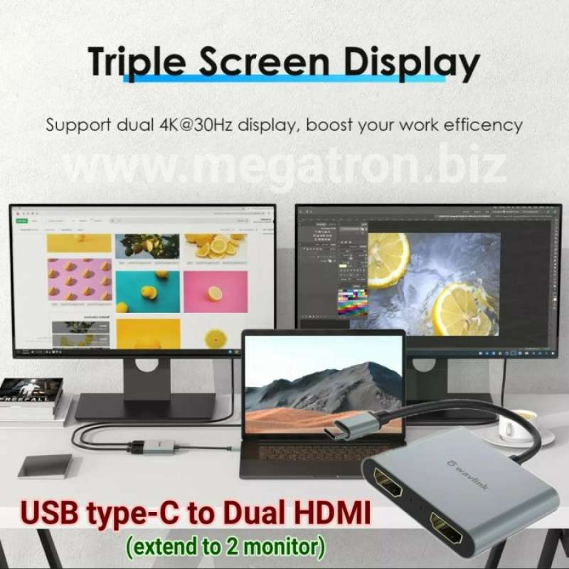 Promo Triple Monitor Display - USB type-C to 2 Extended HDMI Monitor ...