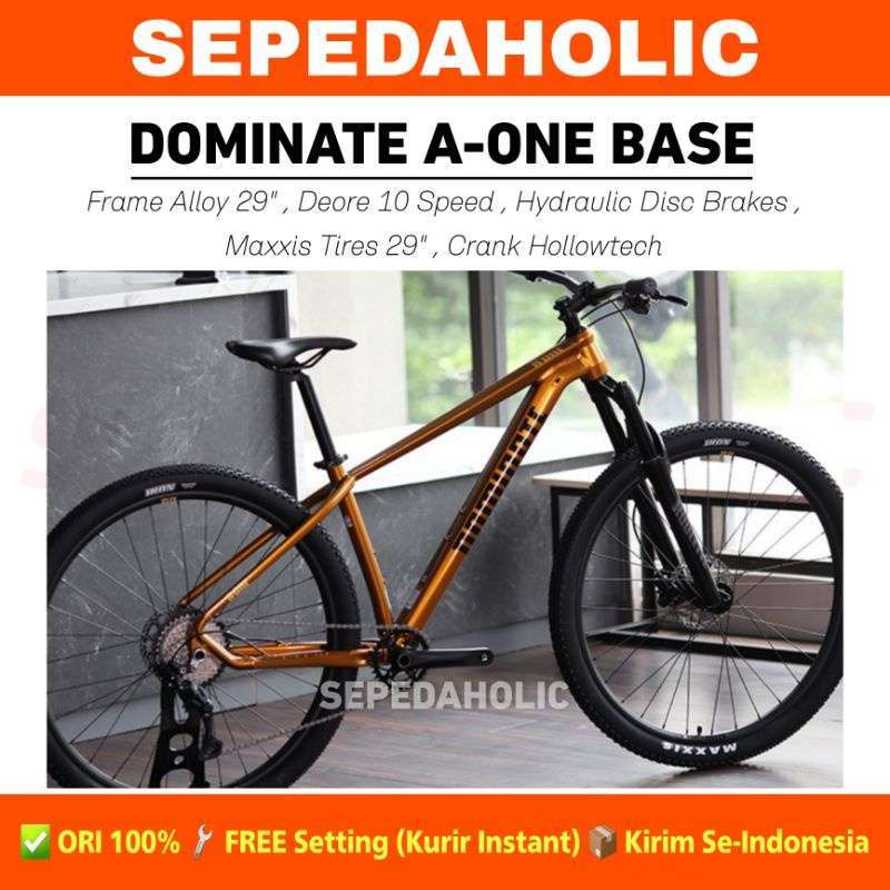 Promo Sepeda Gunung Mtb Dominate A One Base 10 Speed Deore Rem Hidrolik 29 Inch Diskon 7% Di ...
