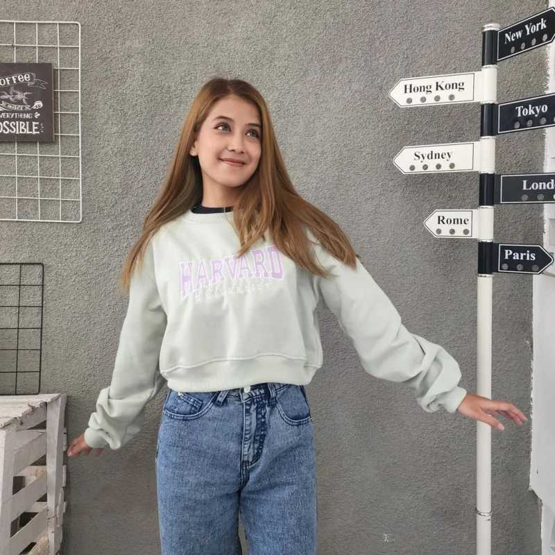 Jual Harvard Sweater 🏷️ Model Premium Original Terbaru & Harga Murah ...