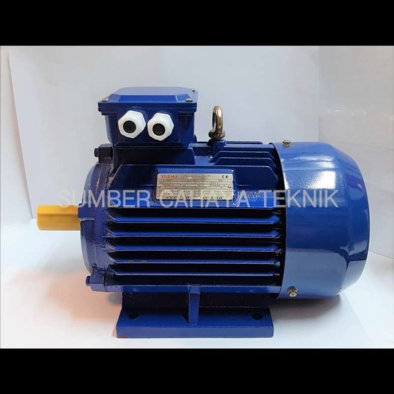 Jual YU 3HP 3 Phase Dinamo / Elektro Motor 1400 rpm 4 pole YUEMA di ...