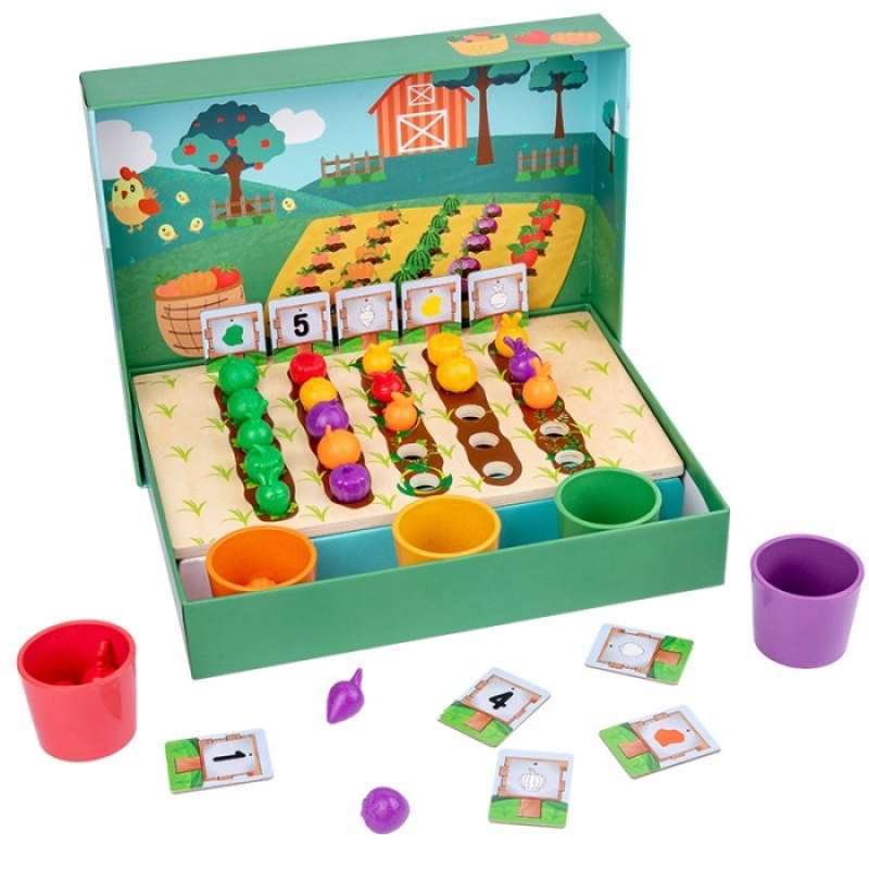 Promo Vegetable Fruit Farms Color Cognitive Classification Mengenal ...