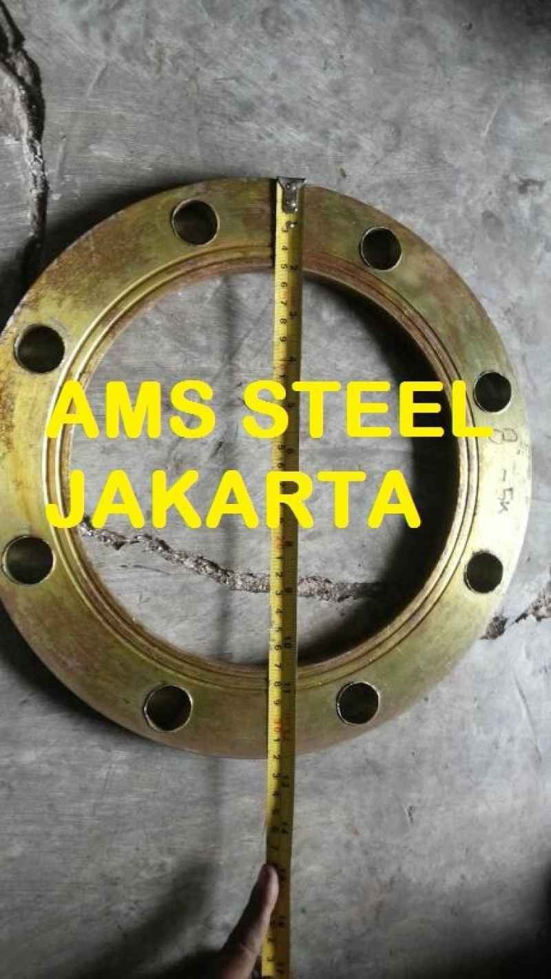 Promo 8 Inch Pn 10 Flange Las Besi Carbonsteel Flanges Diskon 23% Di ...